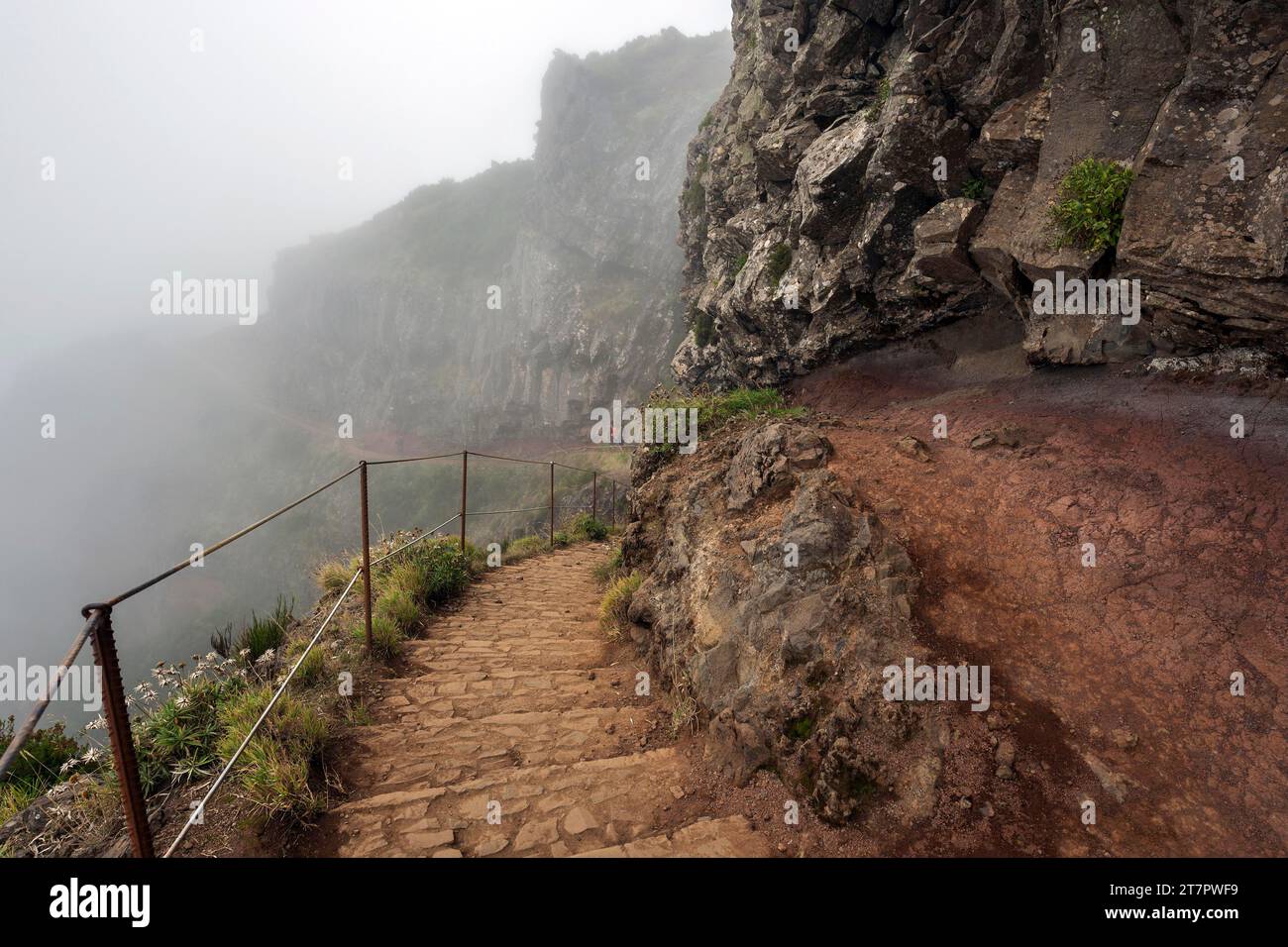 Hikers on the PR1 Vereda do Areeiro hiking trail in the fog, from Pico ...