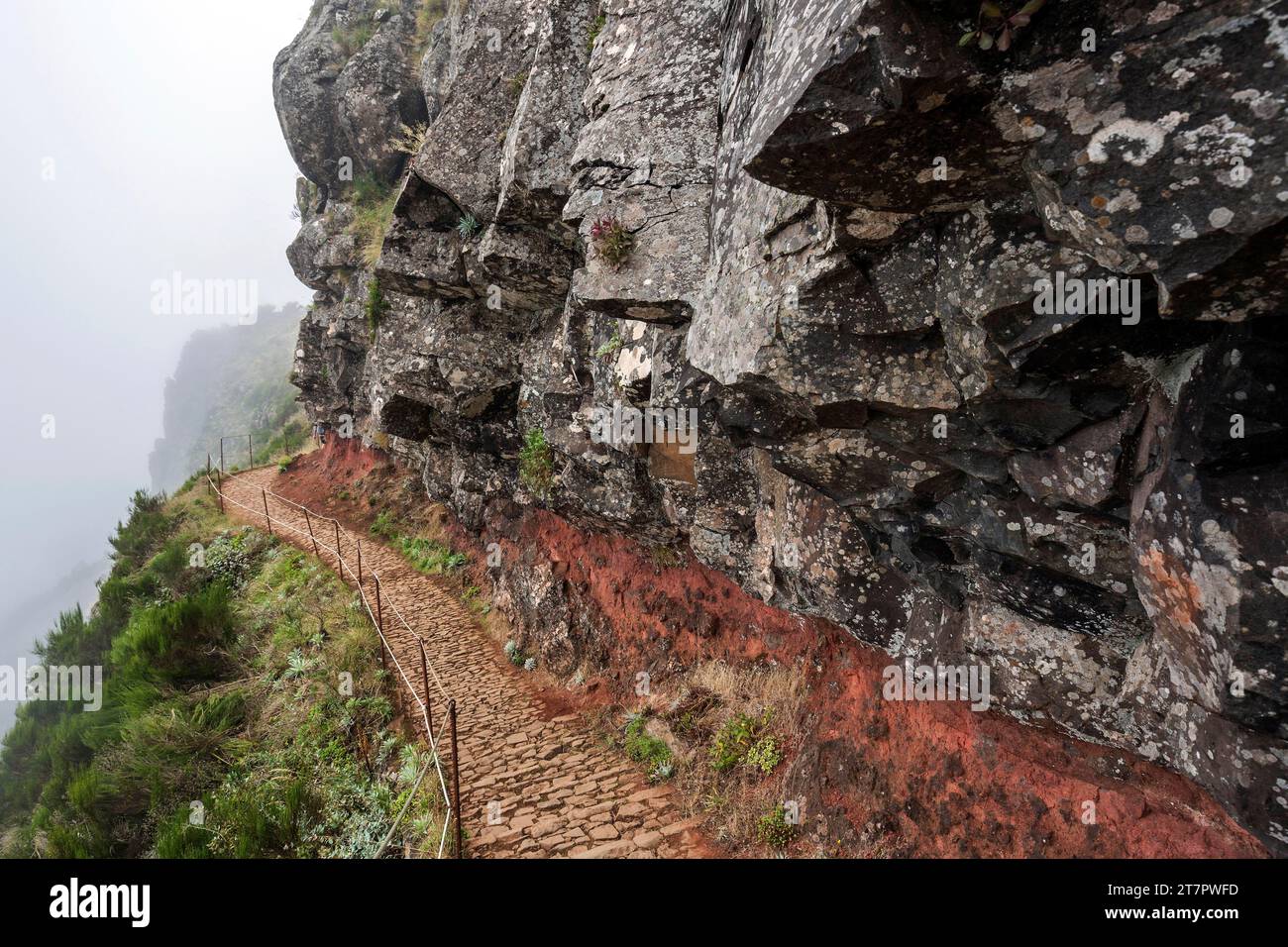 Hiking trail PR1 Vereda do Areeiro in the fog, from Pico do Arieiro to ...