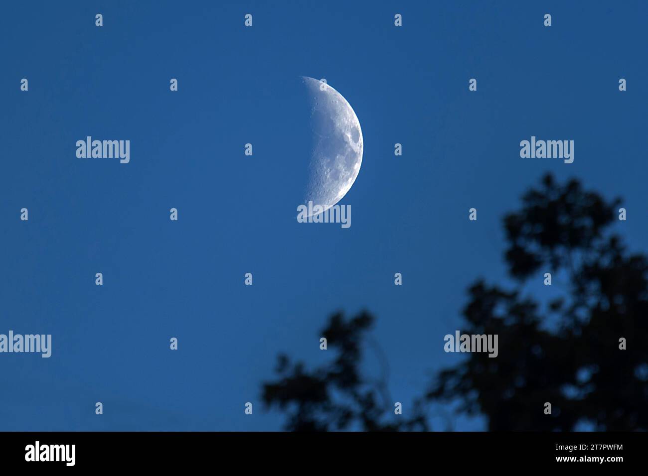 Crescent moon in the night sky, Bavaria, Germany Stock Photo - Alamy