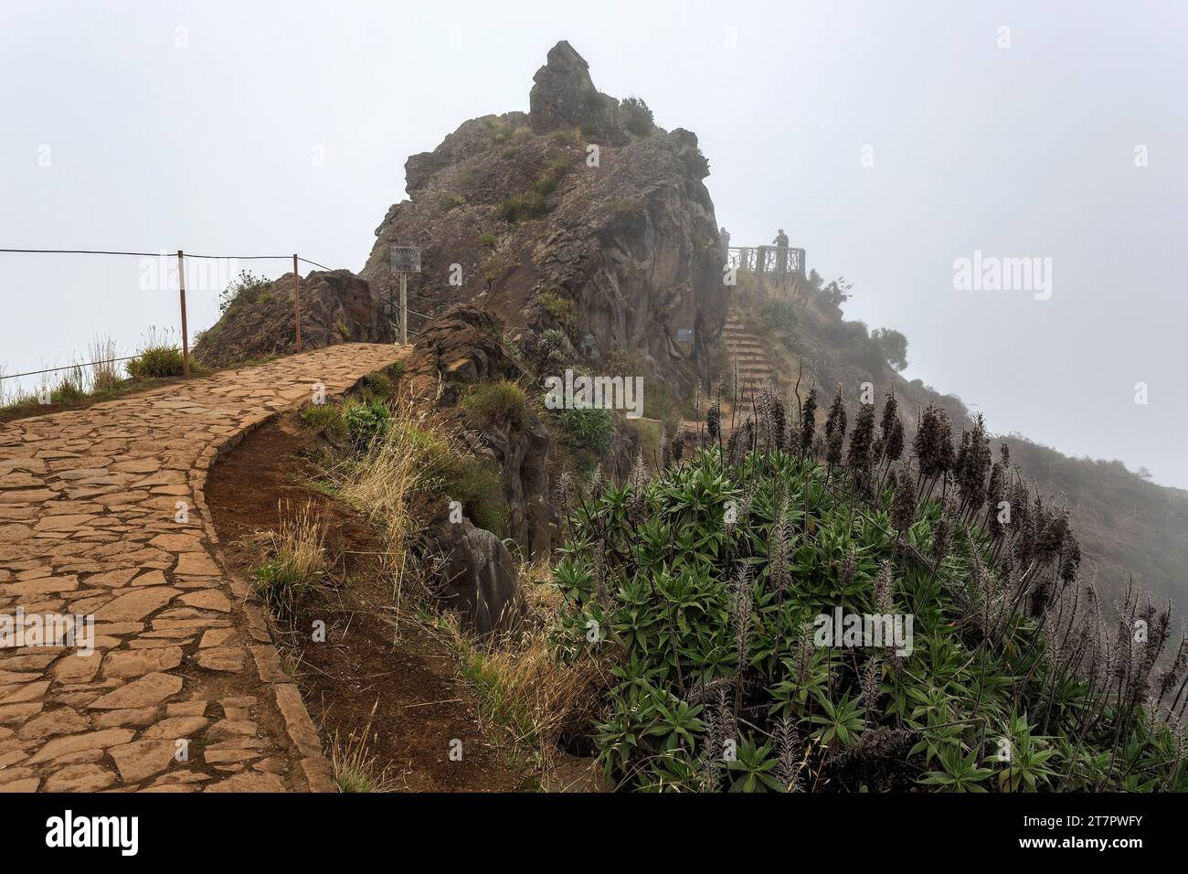 Hikers on the PR1 Vereda do Areeiro hiking trail in the fog, from Pico ...