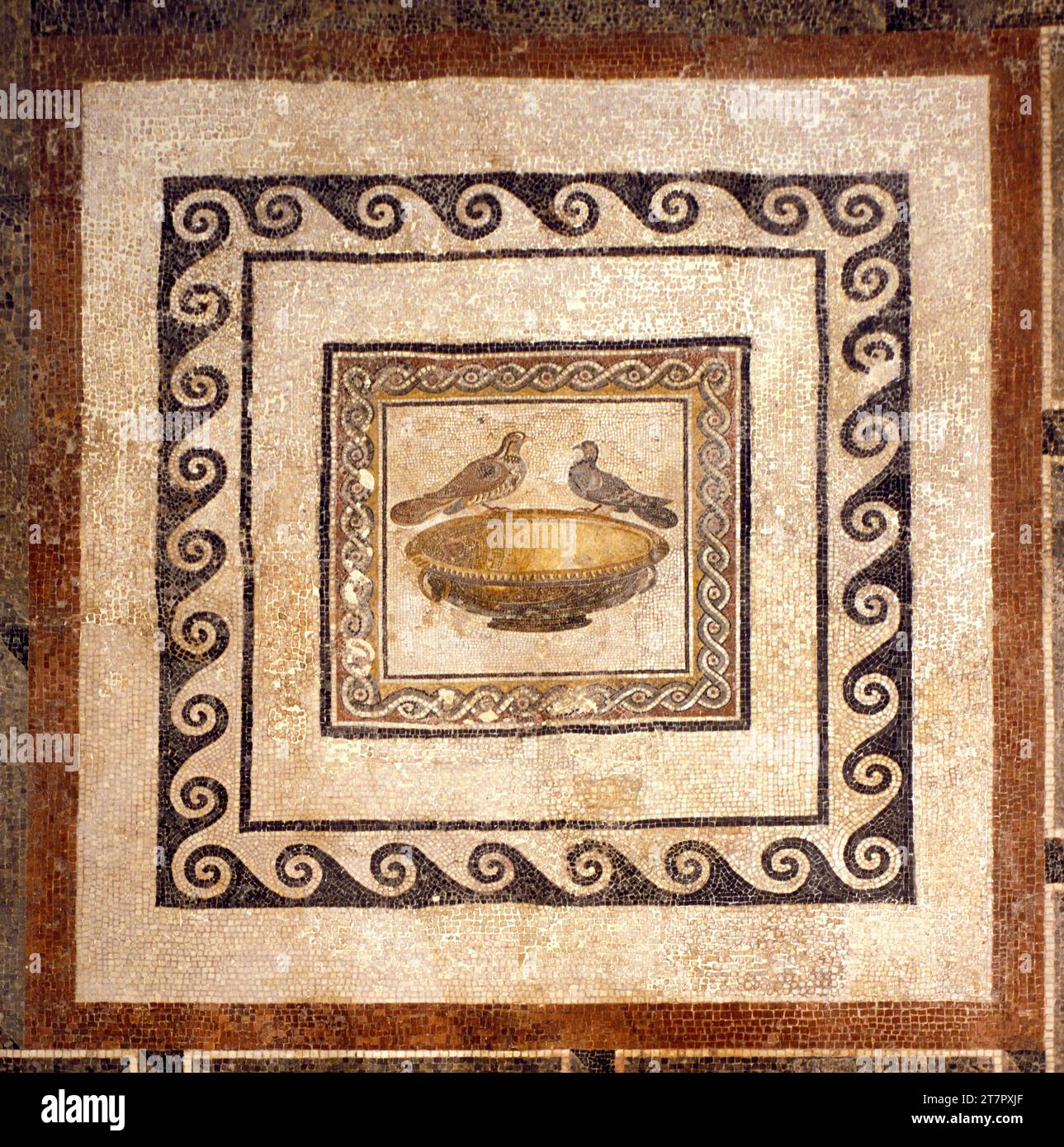 Malta, Rabat: Roman Domus (Roman villa), Mosaic: The Drinking Pigeons ...