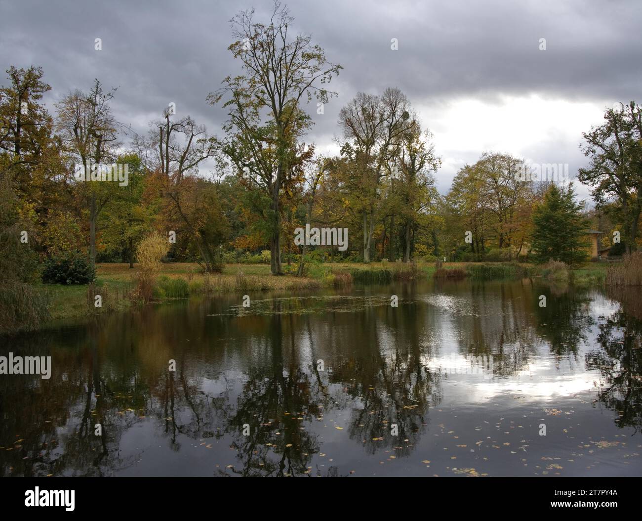 Autumn-coloured trees at the fairytale pond in Glienicker Park, Wannsee ...