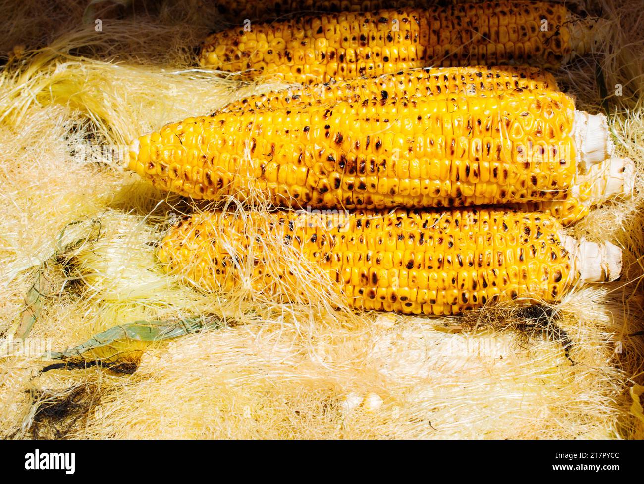 Grilled Corns on the cob kernels peeled Stock Photo - Alamy