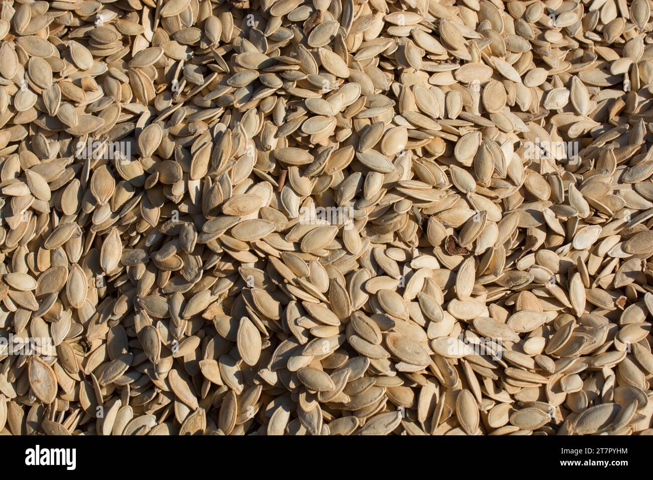 Fruit with many seeds hi-res stock photography and images - Alamy