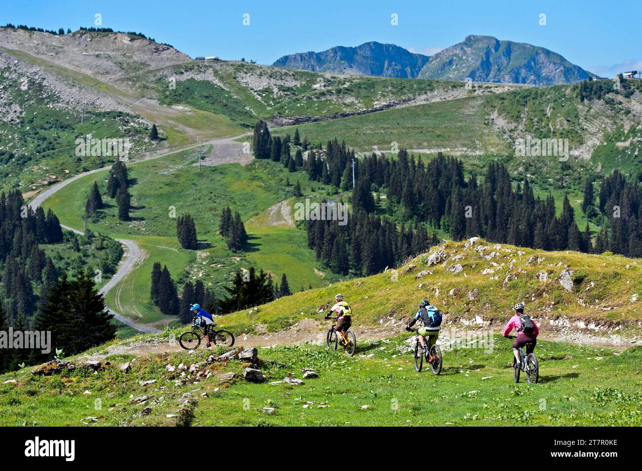A group of mountain bikers on an alpine descent in the Chablais Geopark ...