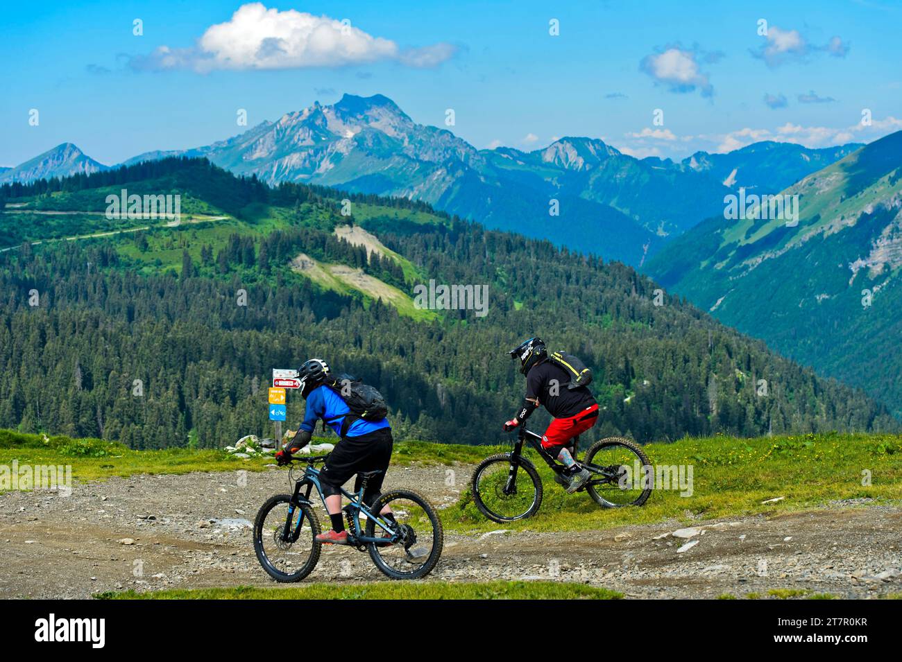 Two mountain bikers on an alpine descent in the Chablais Geopark ...