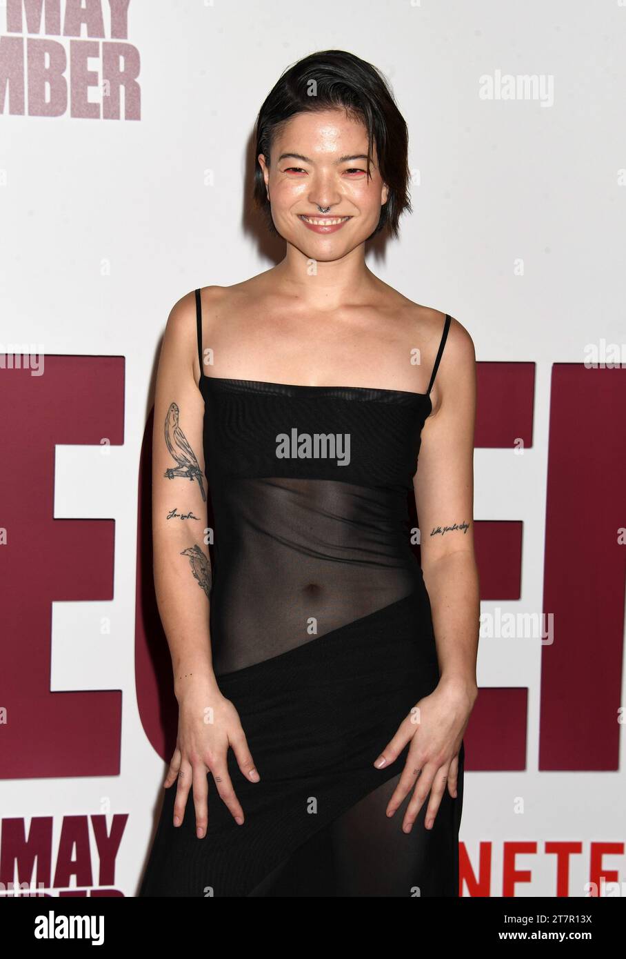 Los Angeles, Ca. 16th Nov, 2023. Piper Curda at the Netflix World Premiere of May December at ...