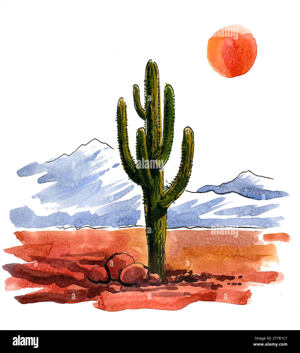 Cactus in the desert. Hand-drawn ink and watercolor sketch Stock Photo ...