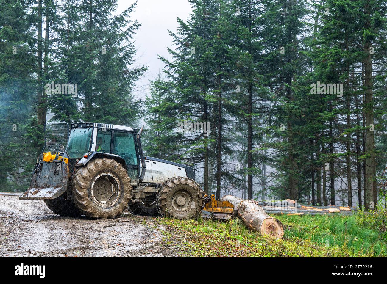 A specialized forest tractor working with logging in the rain in the ...