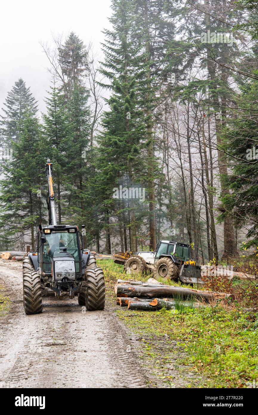 A specialized forest tractor working with logging in the rain in the ...