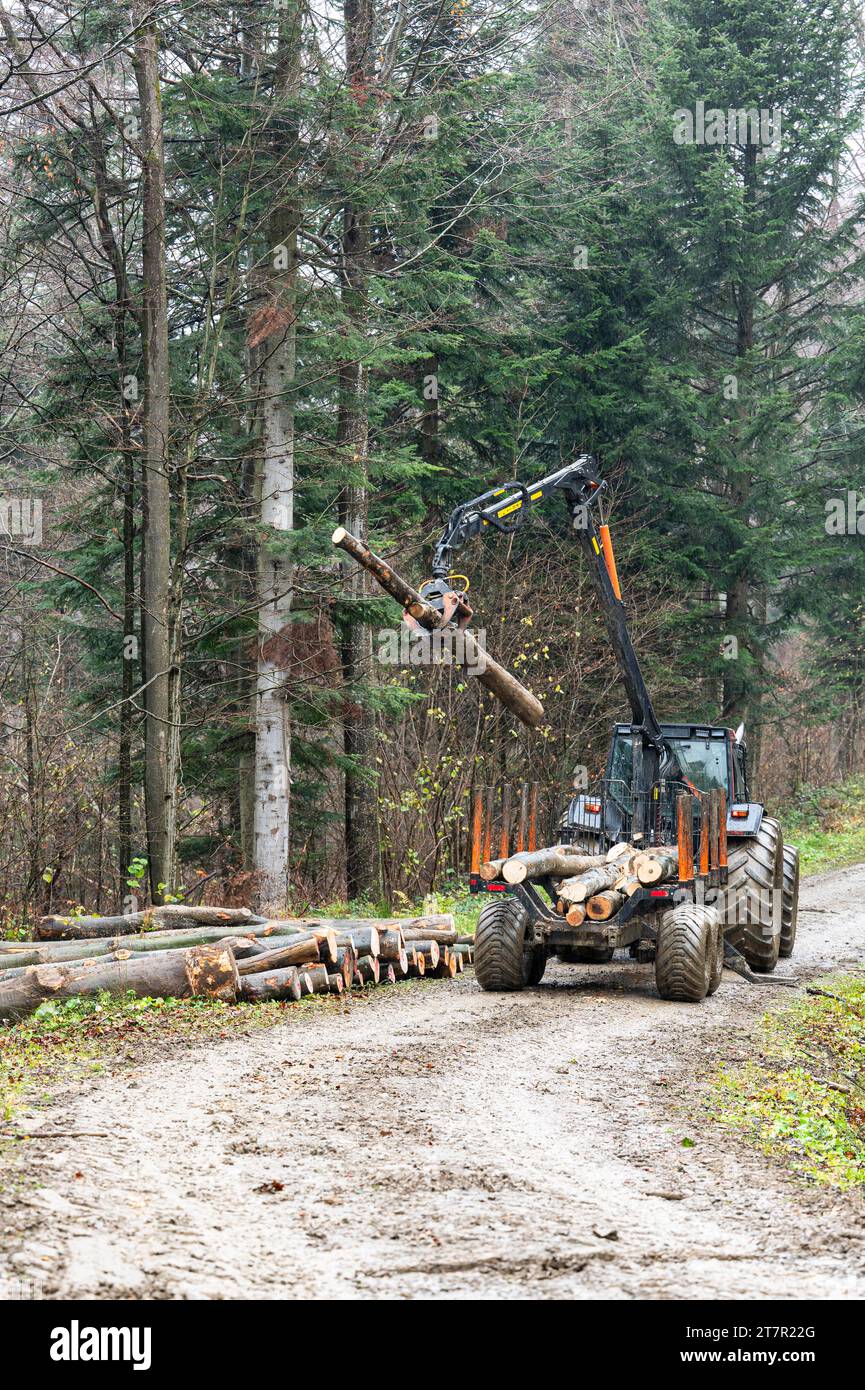 A specialized forest tractor working with logging in the rain in the ...