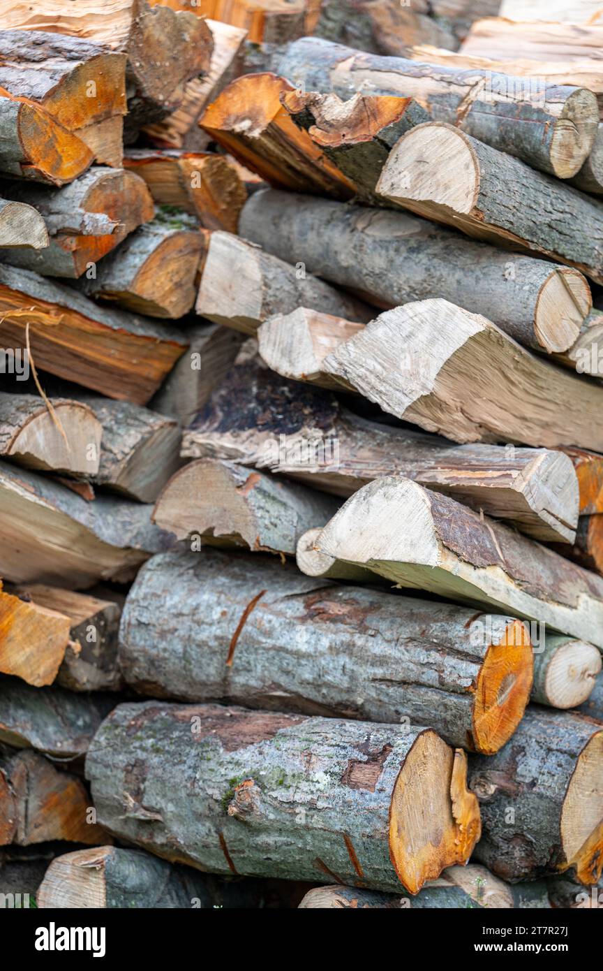 Mixed wood stack hi-res stock photography and images - Alamy