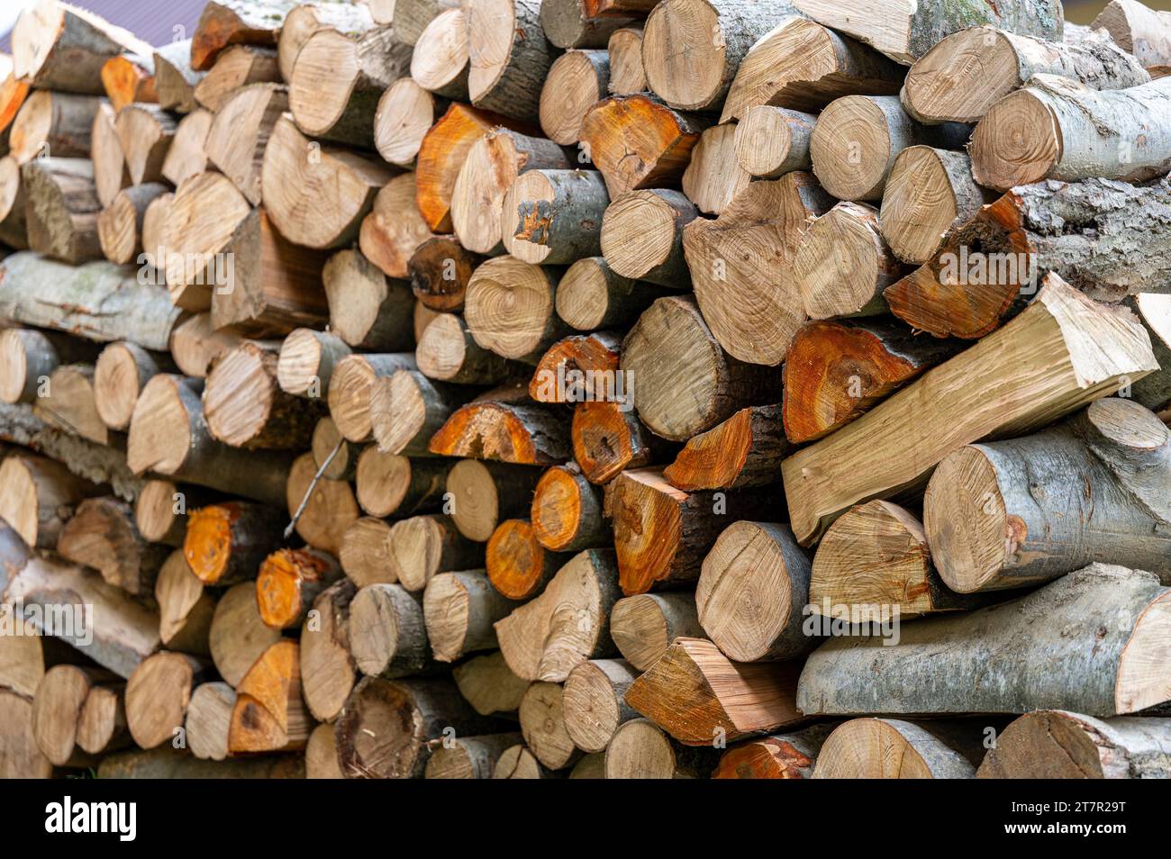 Mixed wood stack hi-res stock photography and images - Alamy