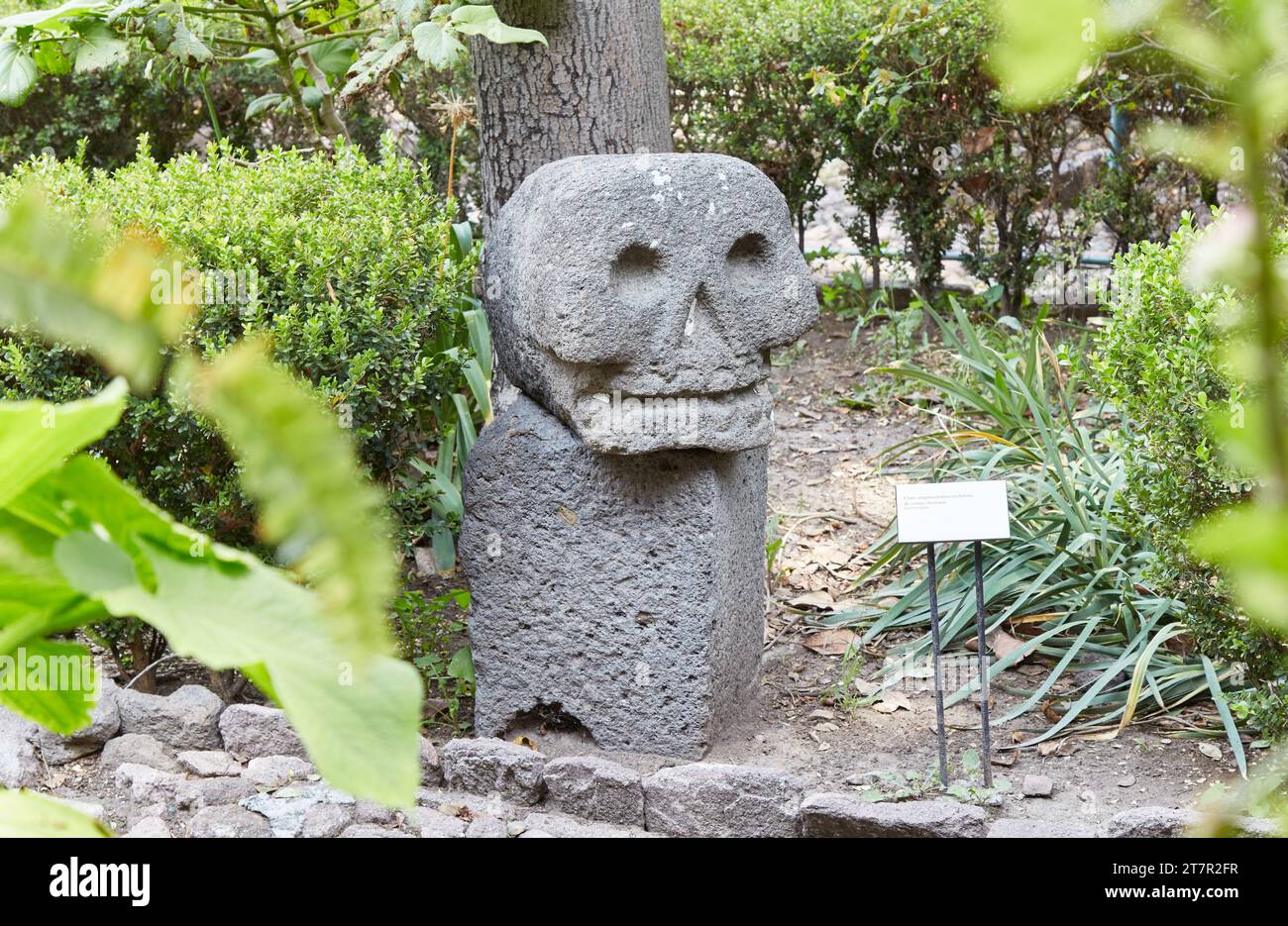 The forgotten Aztec pyramid of Santa Cecilia Acatitlan outside of ...