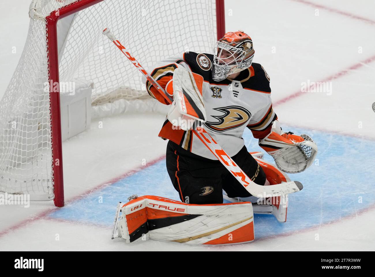 Anaheim Ducks goaltender Lukas Dostal (1) in the third period of an NHL ...