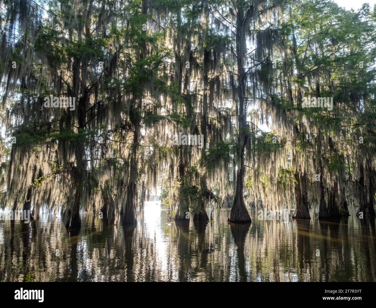 Louisiana bayou people hi-res stock photography and images - Alamy