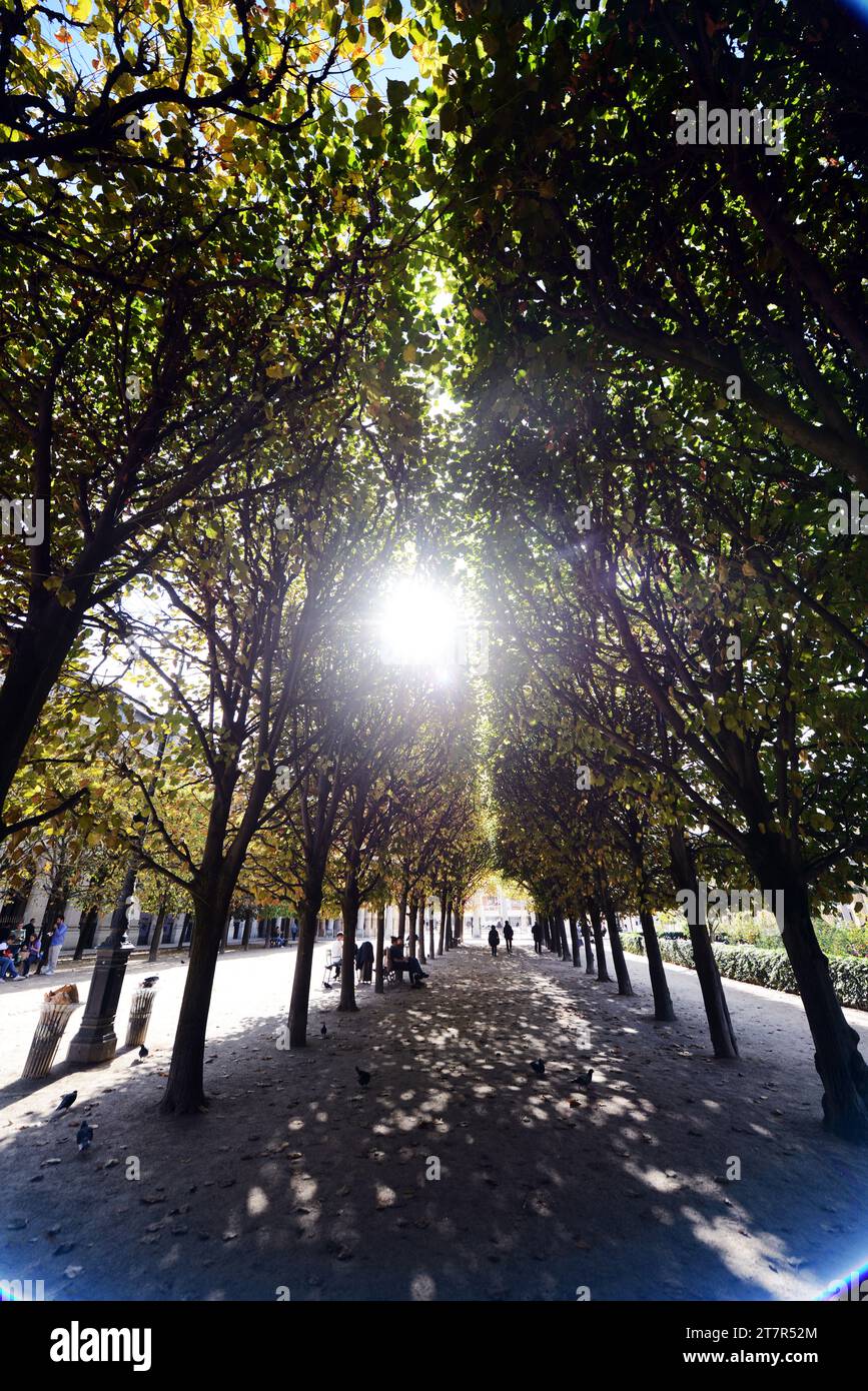 Le jardin du palais royal paris hi-res stock photography and images - Alamy