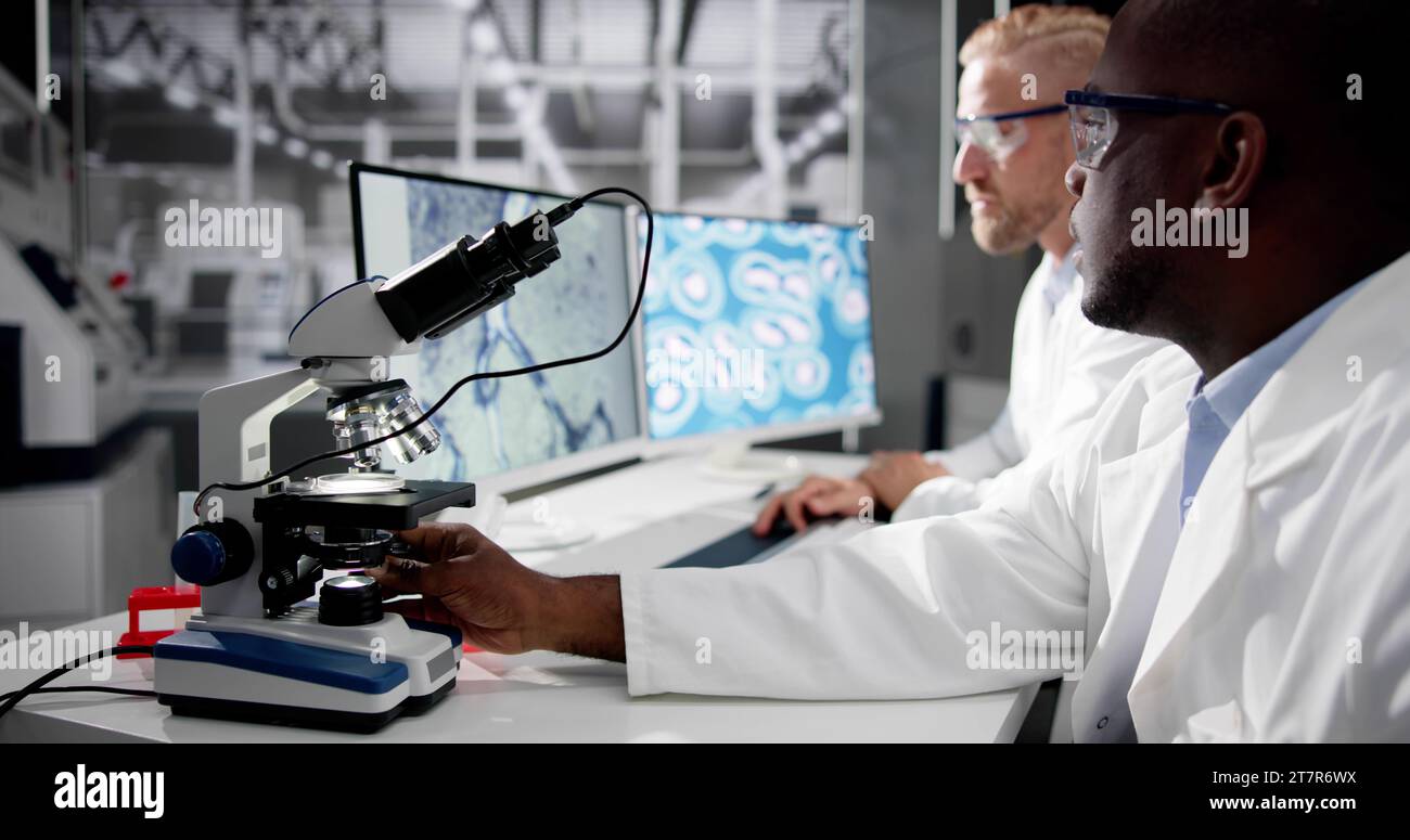 Research Lab Scientist Using Computer. Medical Science Stock Photo - Alamy