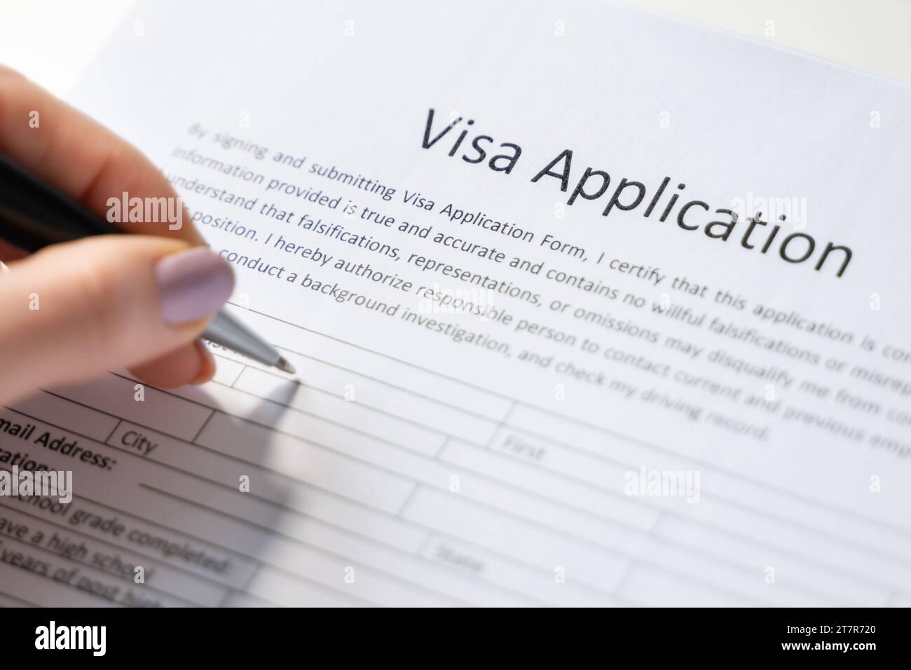 Digital Visa Application: Embassy Form Fill and Registration Stock ...