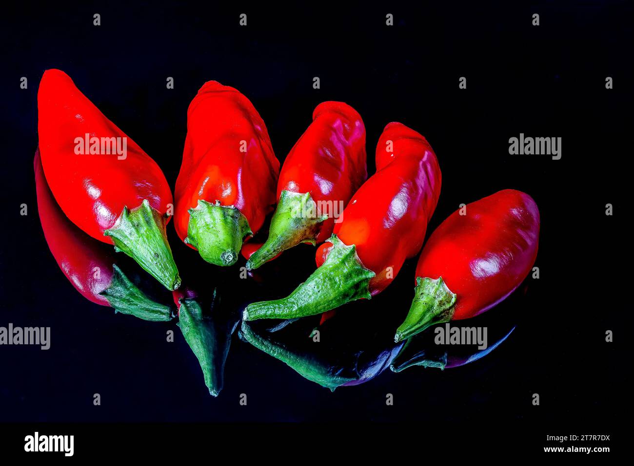 Five ripe red chili peppers isolated on a black reflecting background ...