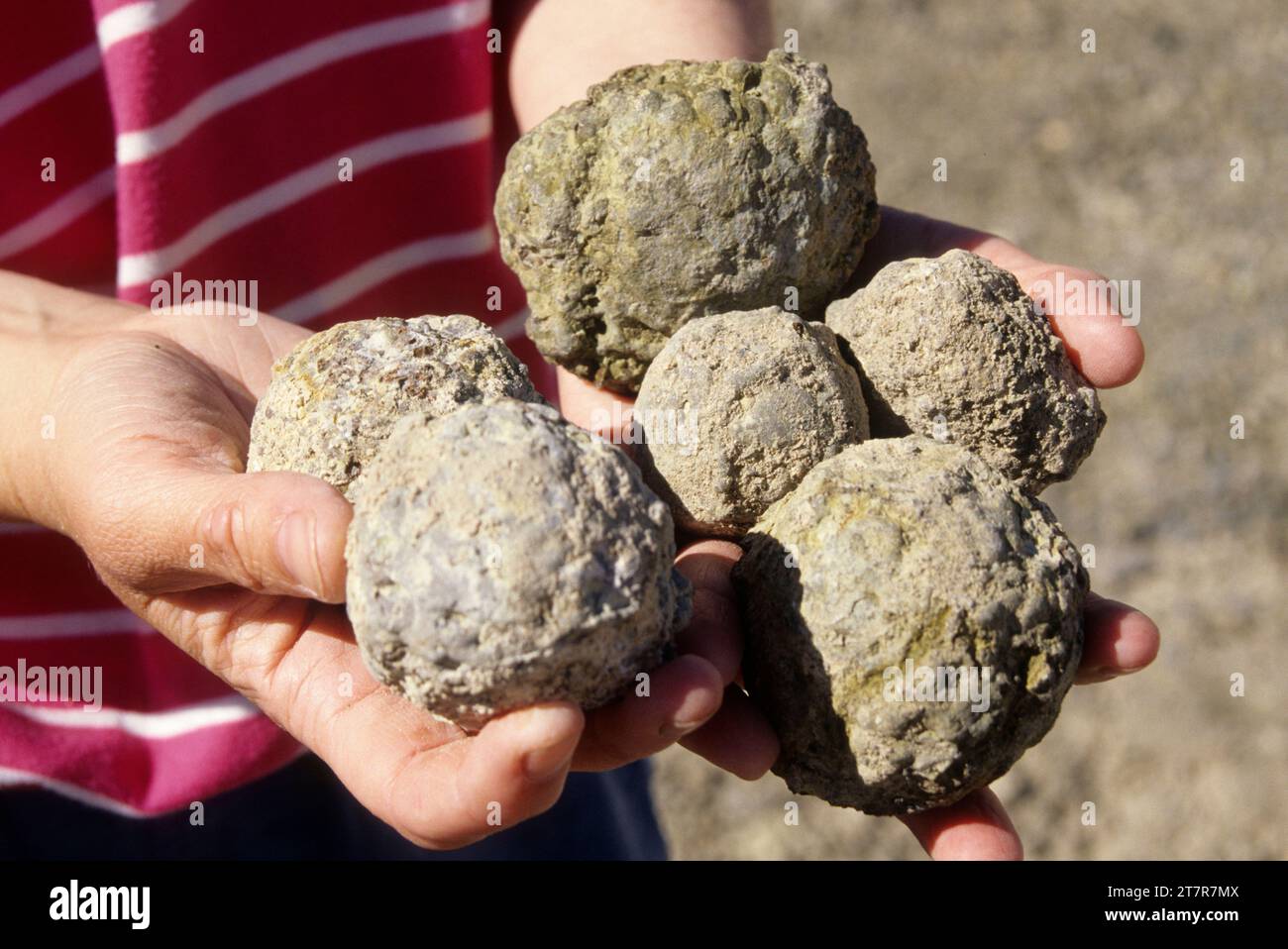 Richardsons rock ranch hi-res stock photography and images - Alamy