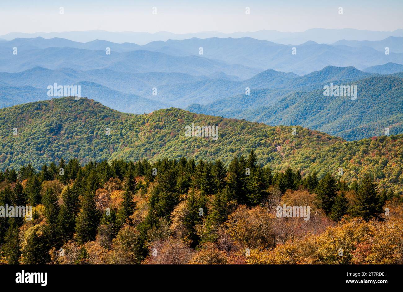 Fall Foliage at the Blue Ridge Parkway Stock Photo - Alamy