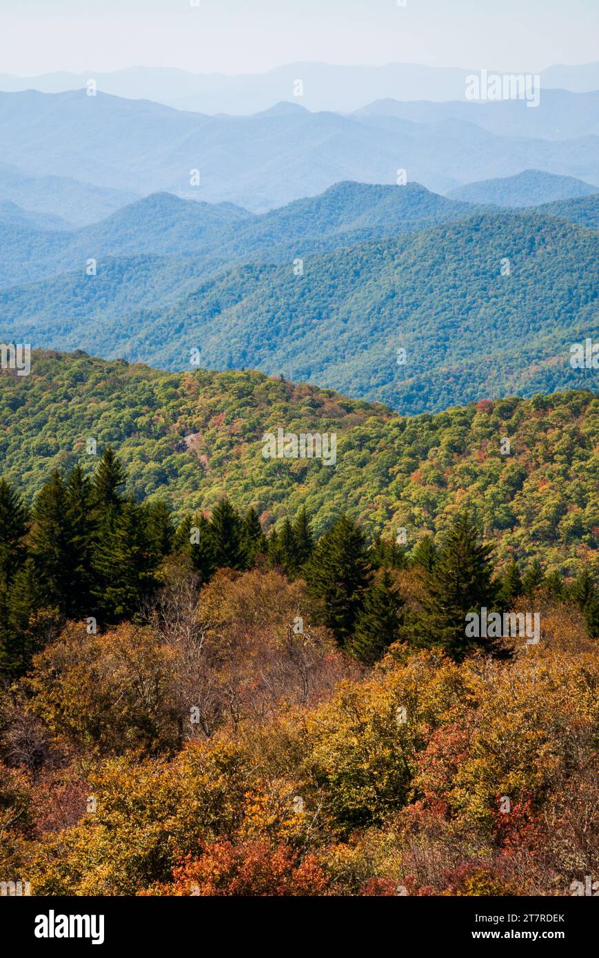 Fall Foliage at the Blue Ridge Parkway Stock Photo - Alamy