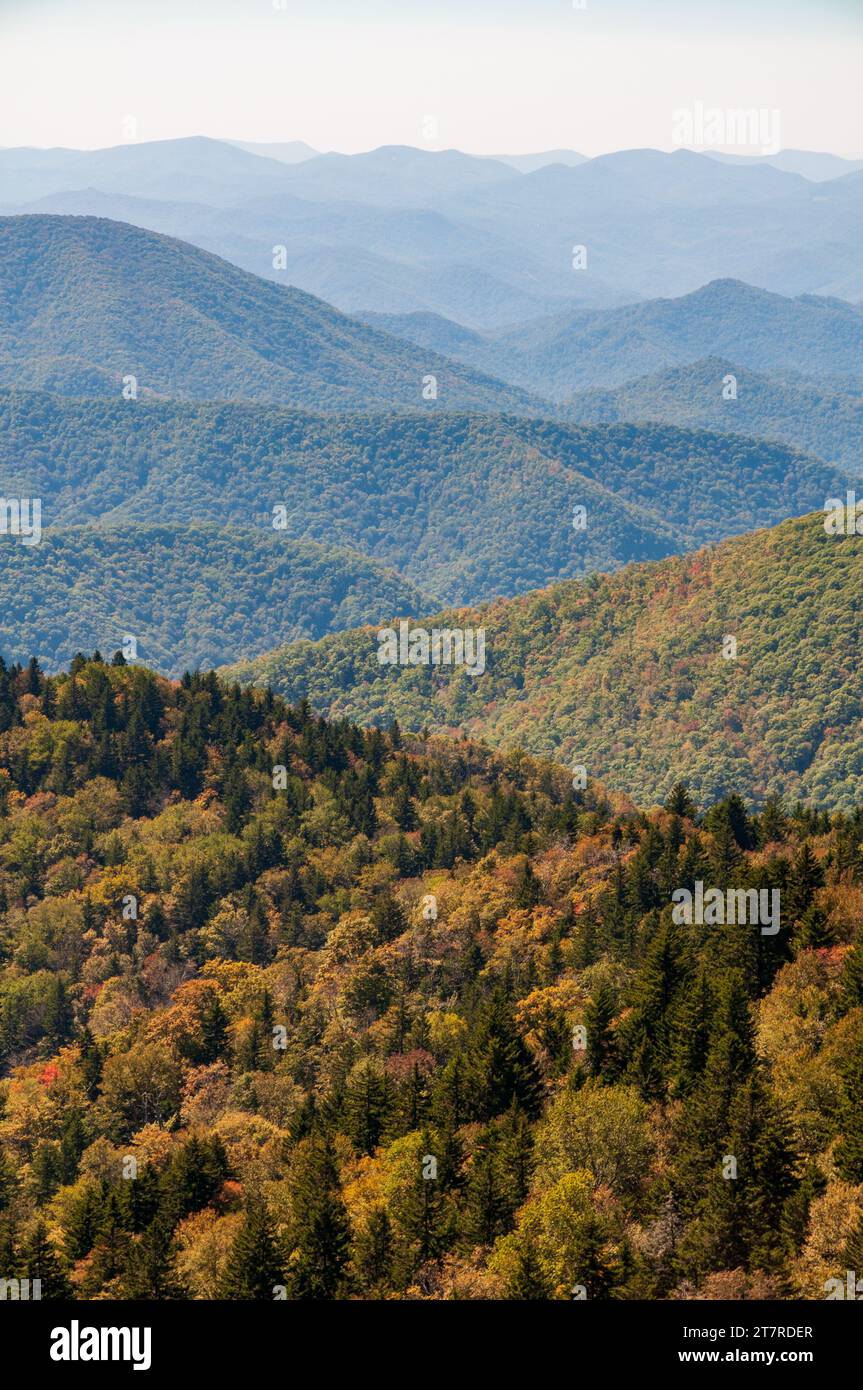 Fall Foliage at the Blue Ridge Parkway Stock Photo - Alamy