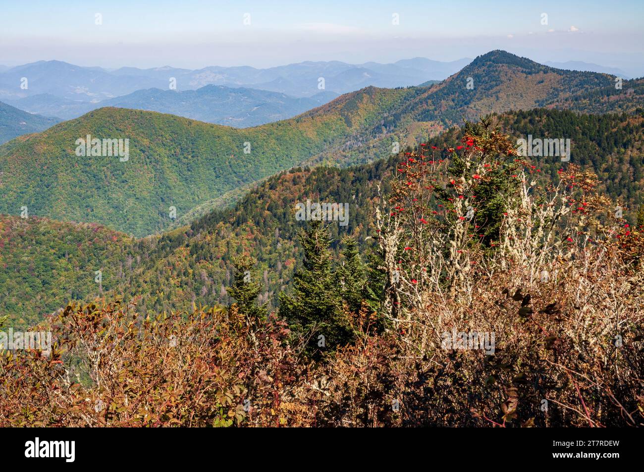 Fall Foliage at the Blue Ridge Parkway Stock Photo - Alamy