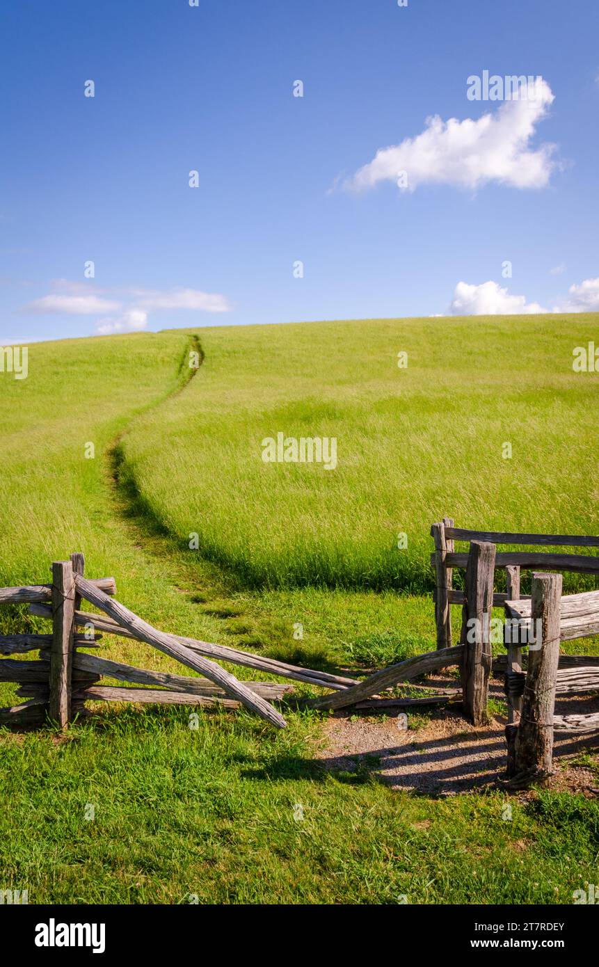 Blue Ridge Mountains Grasslands in the Blue Ridge Parkway Stock Photo ...