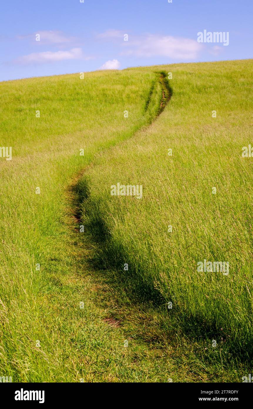 Blue Ridge Mountains Grasslands in the Blue Ridge Parkway Stock Photo ...
