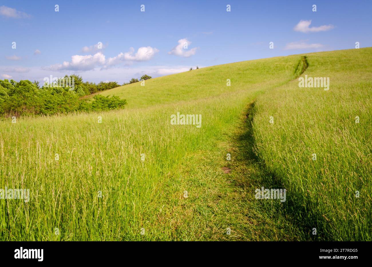 Blue Ridge Mountains Grasslands in the Blue Ridge Parkway Stock Photo ...