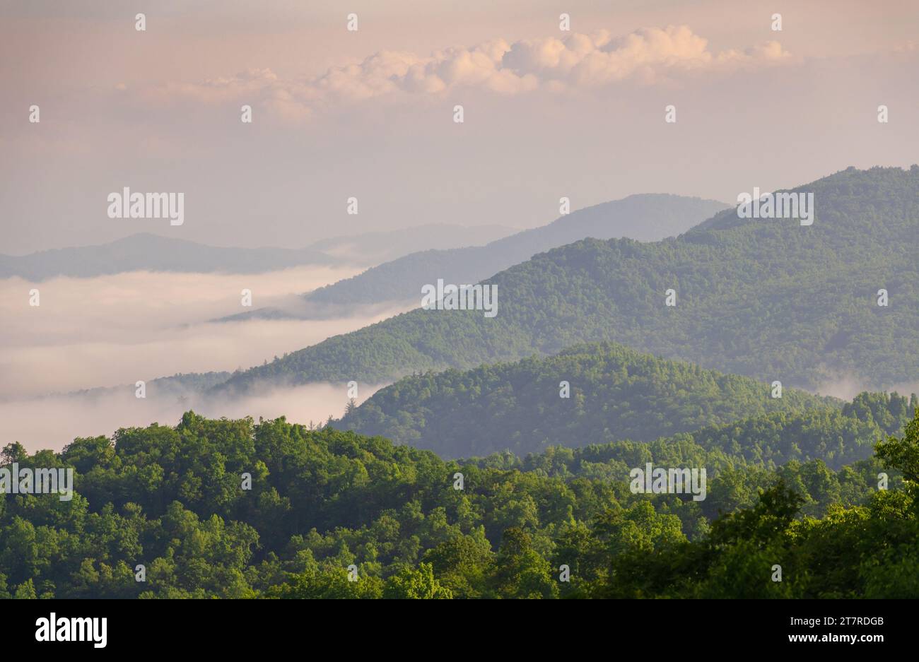 The Blue Ridge Parkway, Famous Road linking Shenandoah National Park to ...