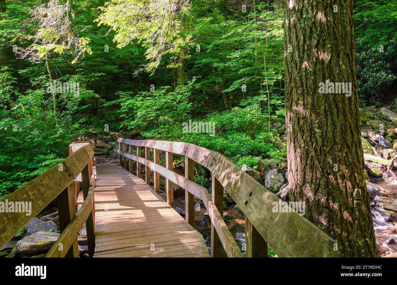 Boardwalk Trail to Crabtree Falls on the Blue Ridge Parkway Stock Photo ...