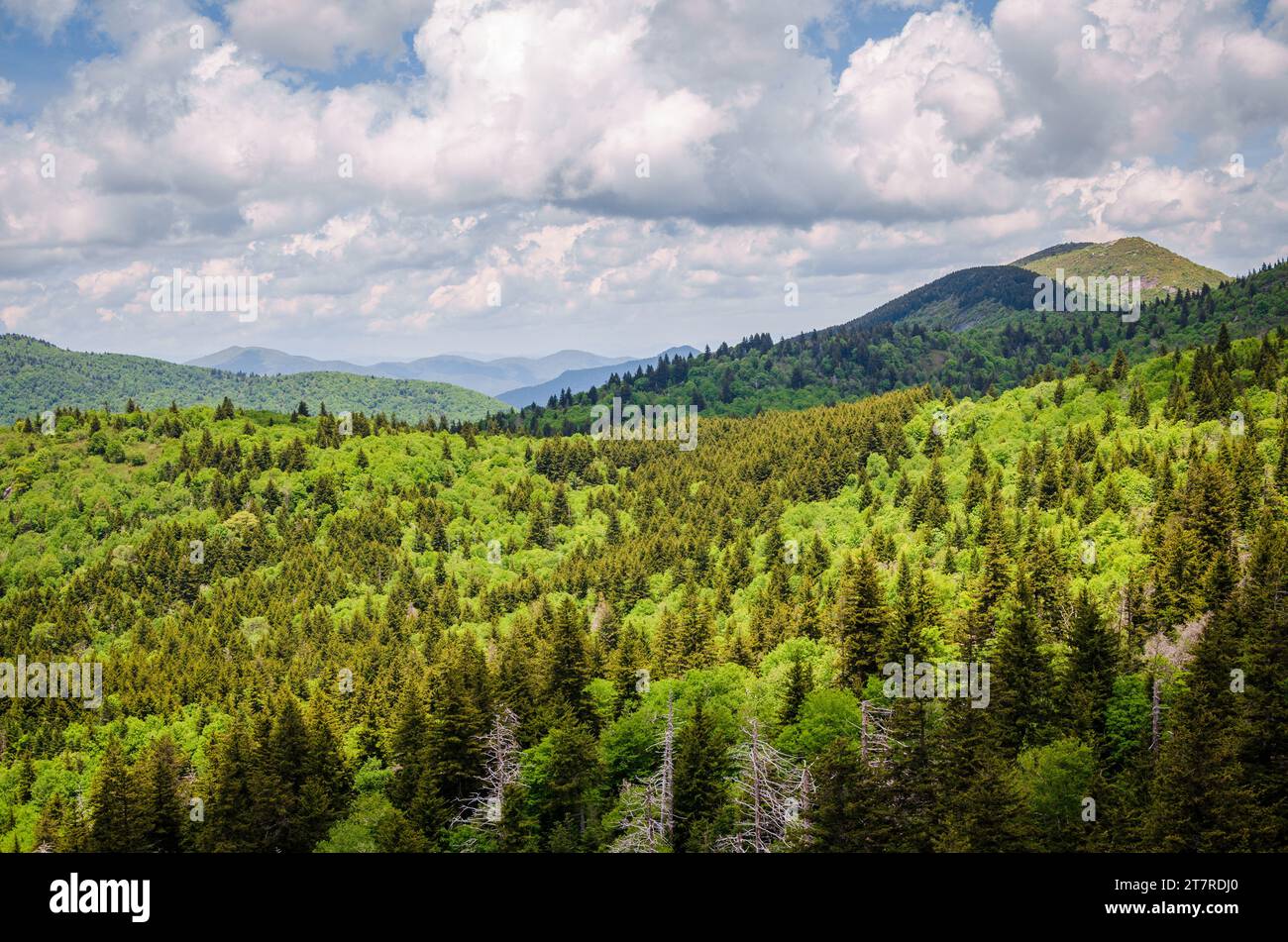 The Blue Ridge Parkway, Famous Road linking Shenandoah National Park to ...