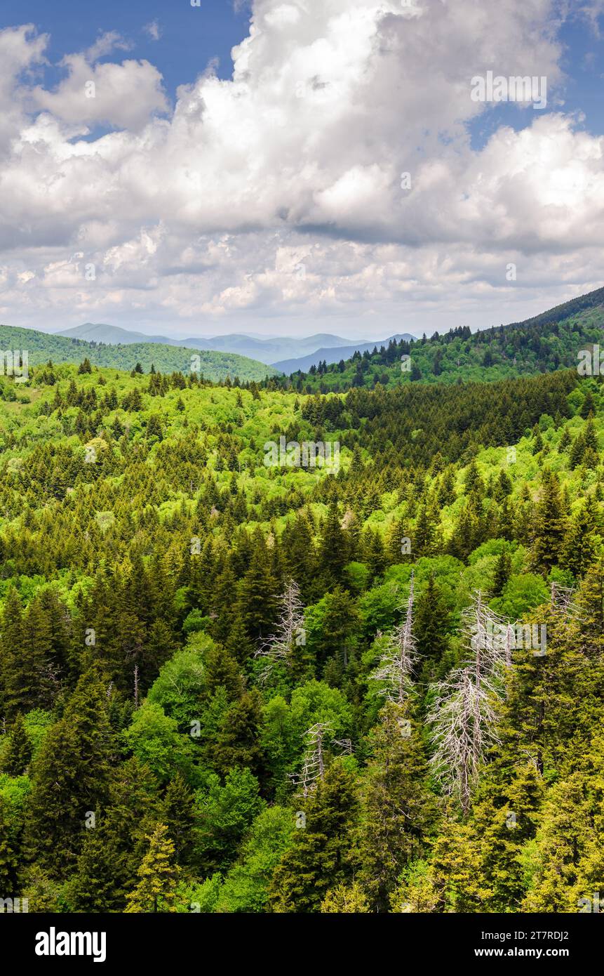 The Blue Ridge Parkway, Famous Road linking Shenandoah National Park to ...