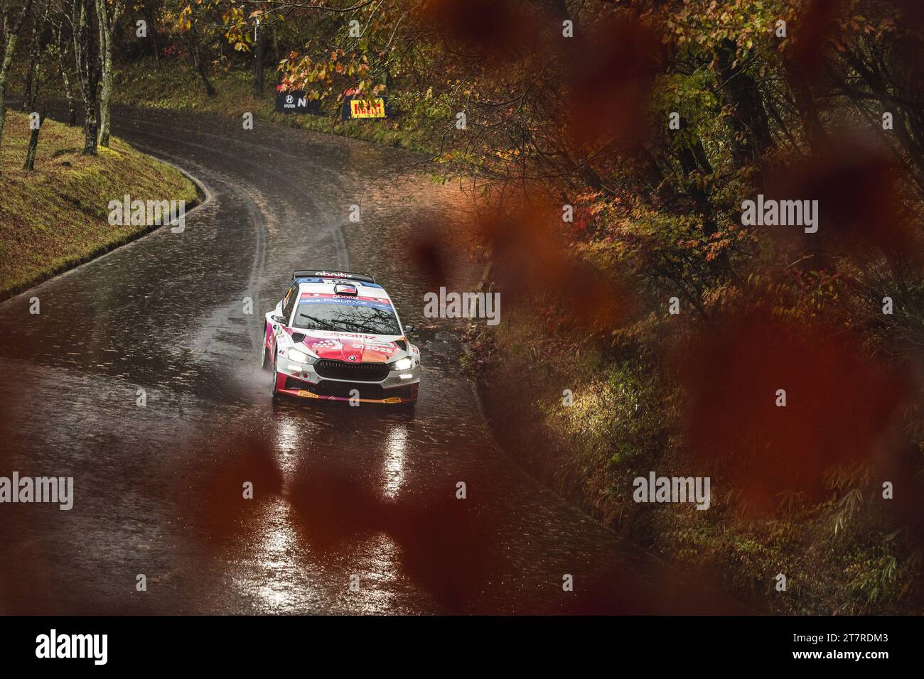 29 Miguel DIAZ ABOITIZ (ESP), Rodrigo SANJUAN (ESP), SKODA Fabia Evo, RC2, Rally2, action during ...