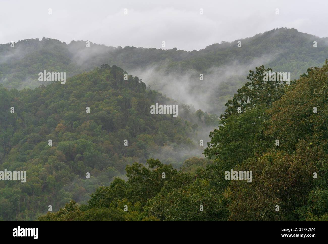 The Blue Ridge Parkway, Famous Road linking Shenandoah National Park to ...