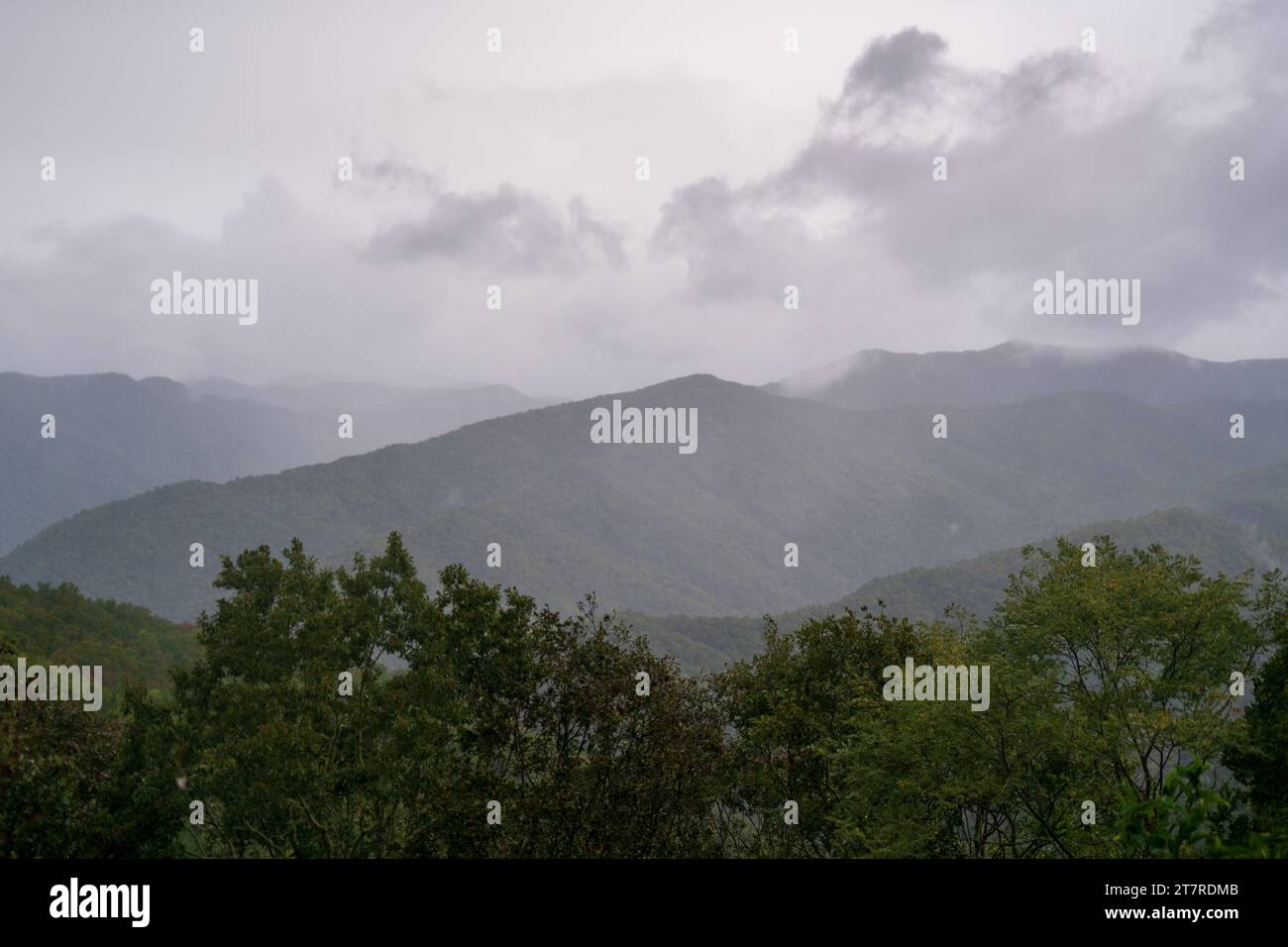 The Blue Ridge Parkway, Famous Road linking Shenandoah National Park to ...