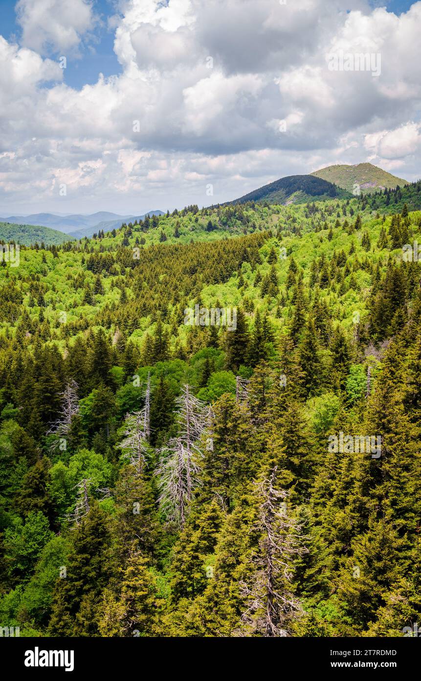 The Blue Ridge Parkway, Famous Road linking Shenandoah National Park to ...
