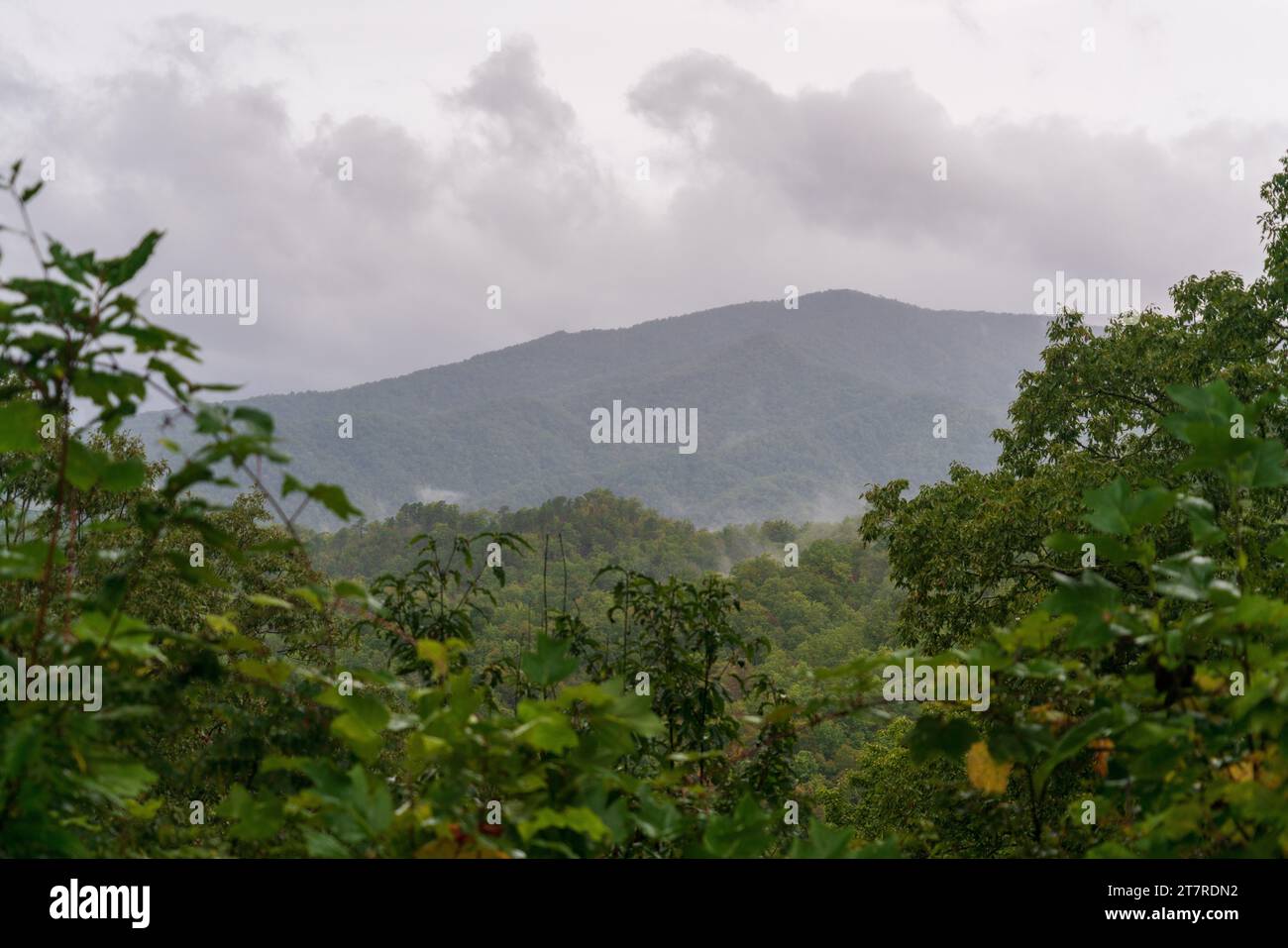 The Blue Ridge Parkway, Famous Road linking Shenandoah National Park to ...