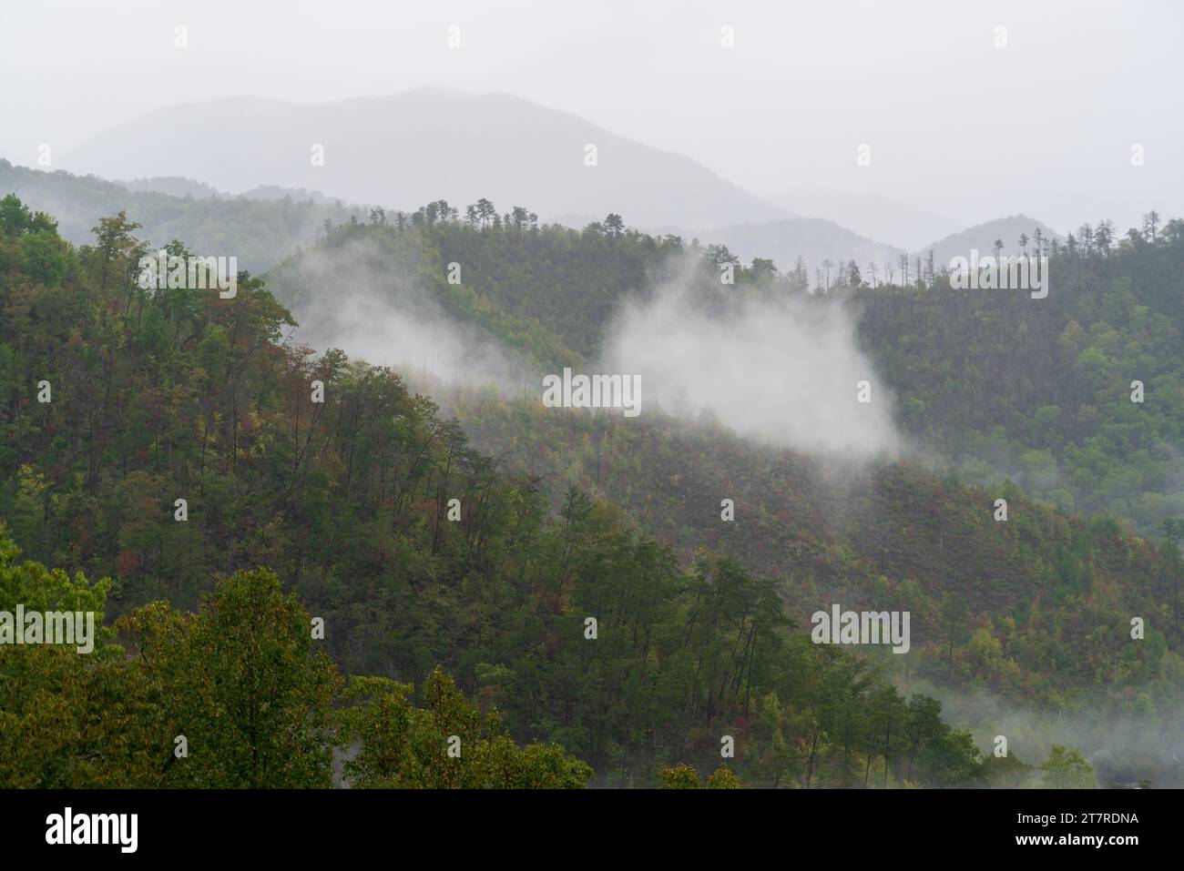 The Blue Ridge Parkway, Famous Road linking Shenandoah National Park to ...