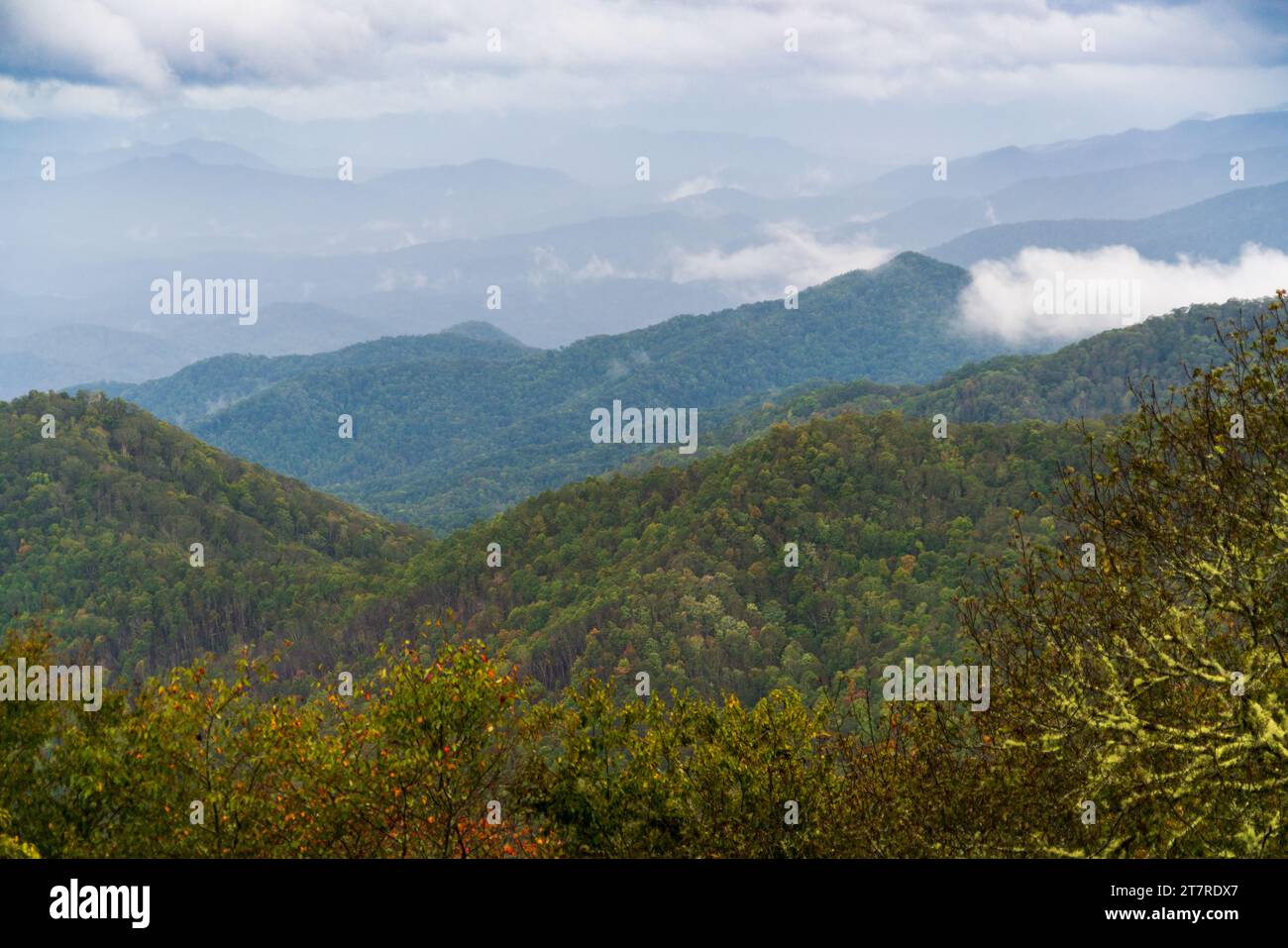 The Blue Ridge Parkway, Famous Road linking Shenandoah National Park to ...