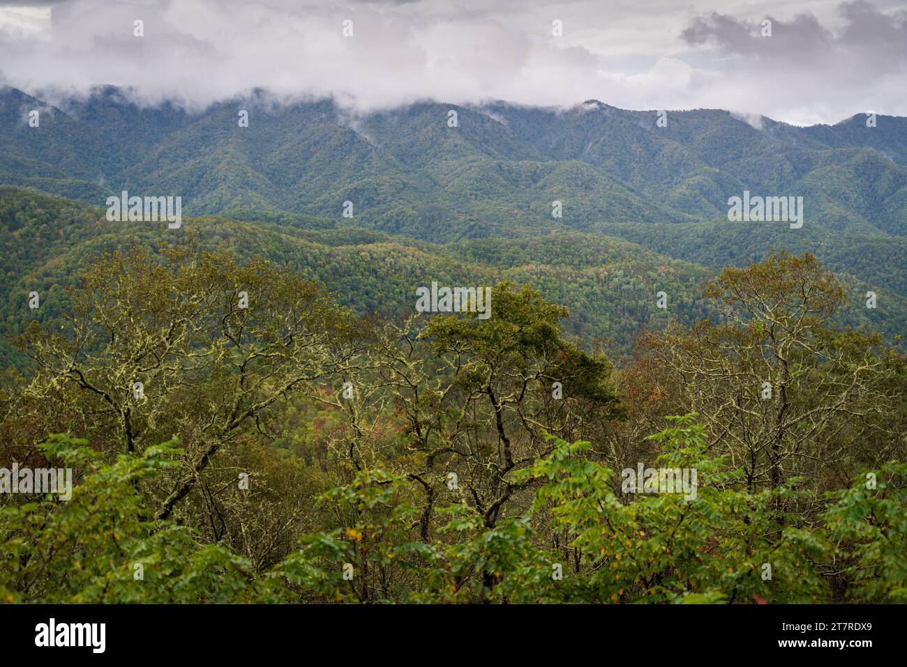 The Blue Ridge Parkway, Famous Road linking Shenandoah National Park to ...