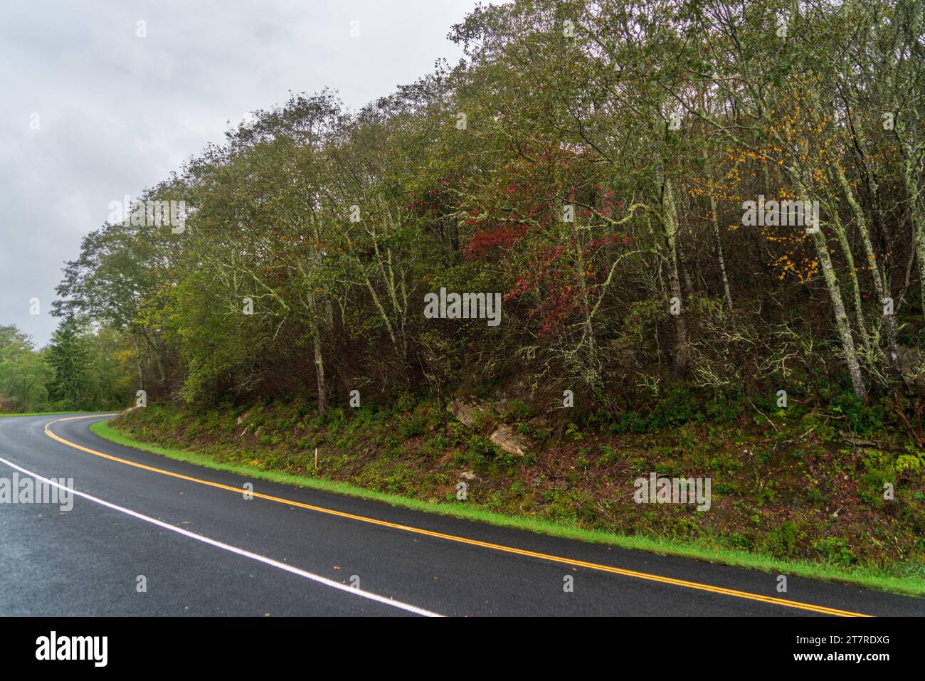 The Blue Ridge Parkway, Famous Road linking Shenandoah National Park to ...