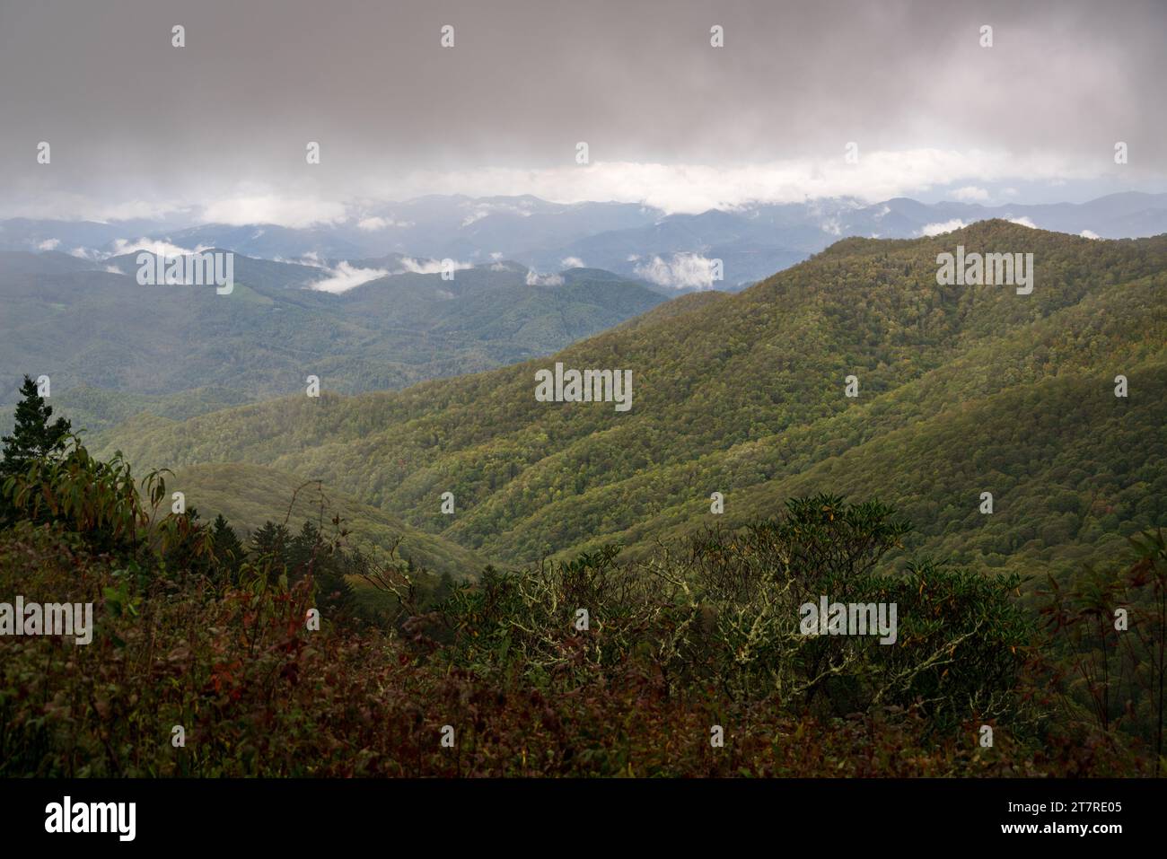 The Blue Ridge Parkway, Famous Road linking Shenandoah National Park to ...