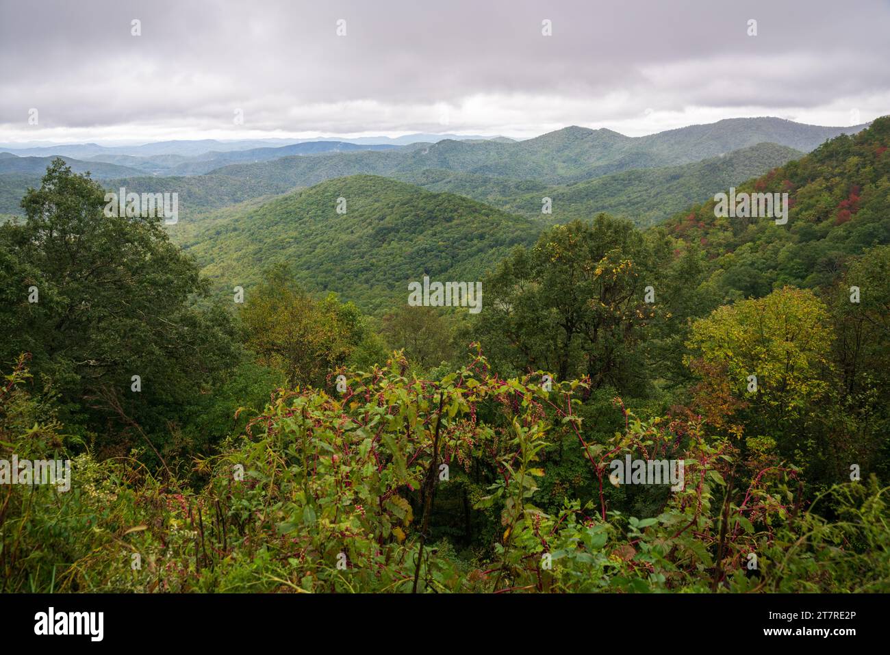 The Blue Ridge Parkway, Famous Road linking Shenandoah National Park to ...