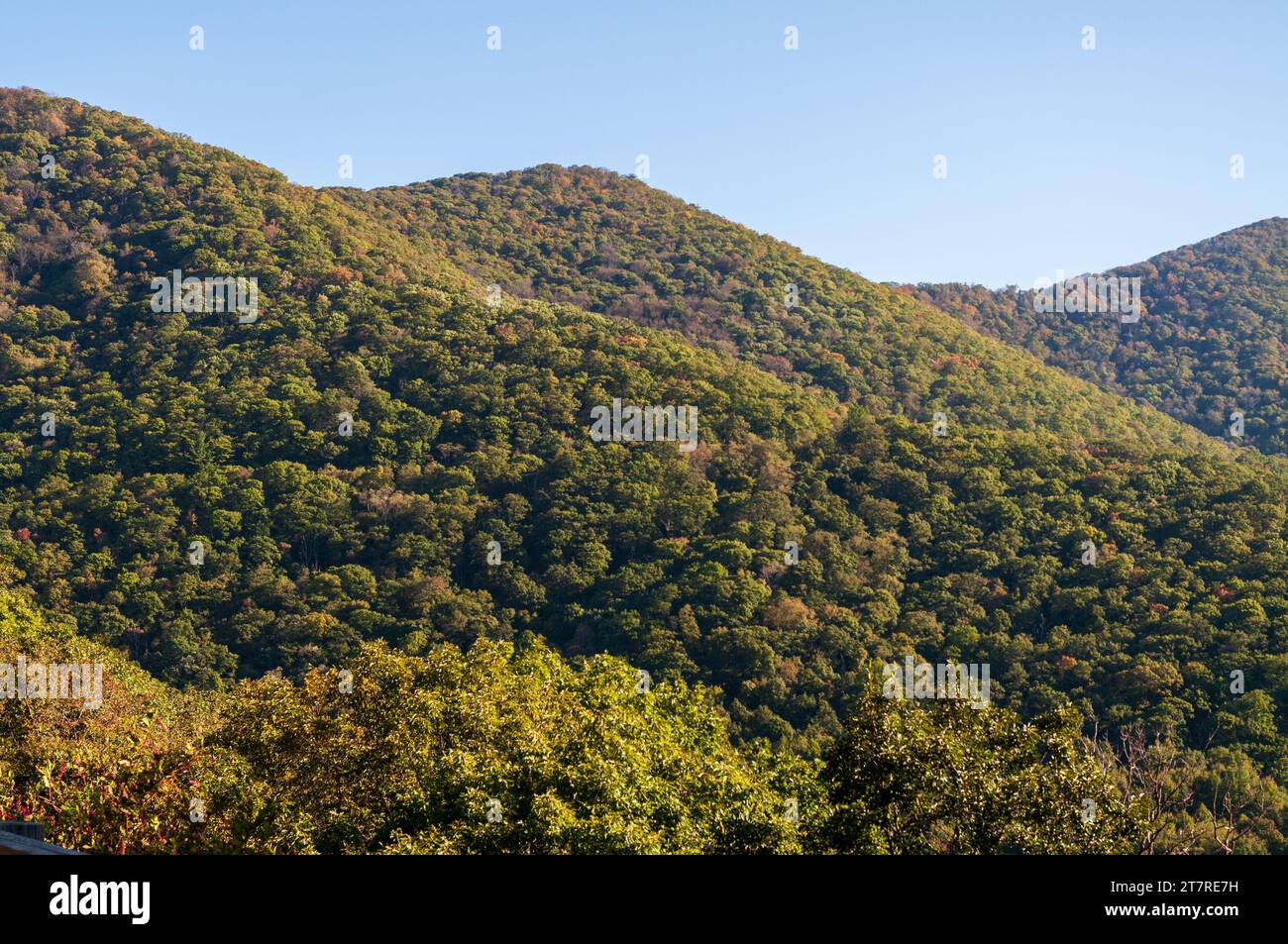 The Blue Ridge Parkway, Famous Road linking Shenandoah National Park to ...