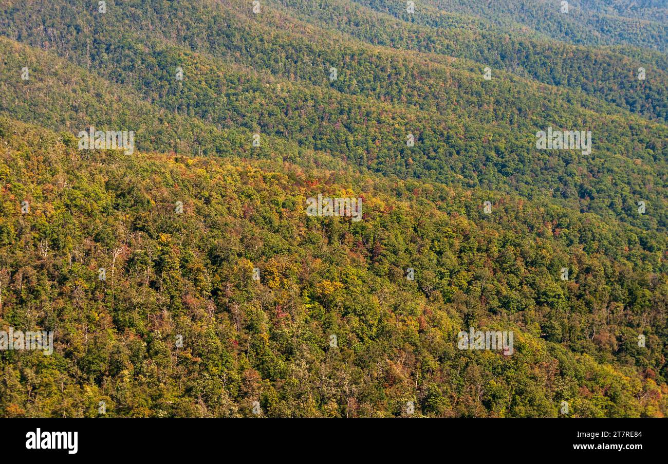 The Blue Ridge Parkway, Famous Road linking Shenandoah National Park to ...