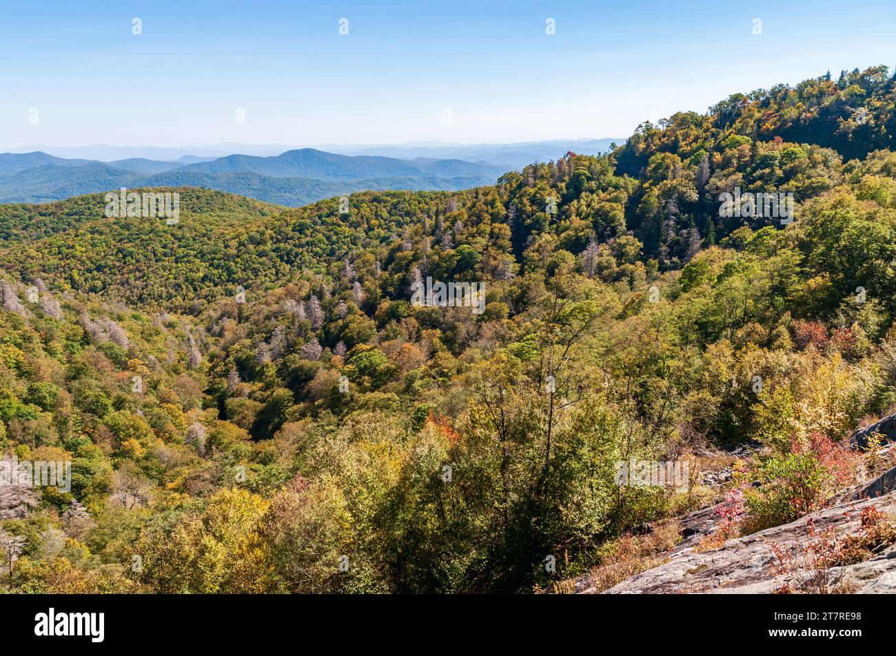 The Blue Ridge Parkway, Famous Road linking Shenandoah National Park to ...